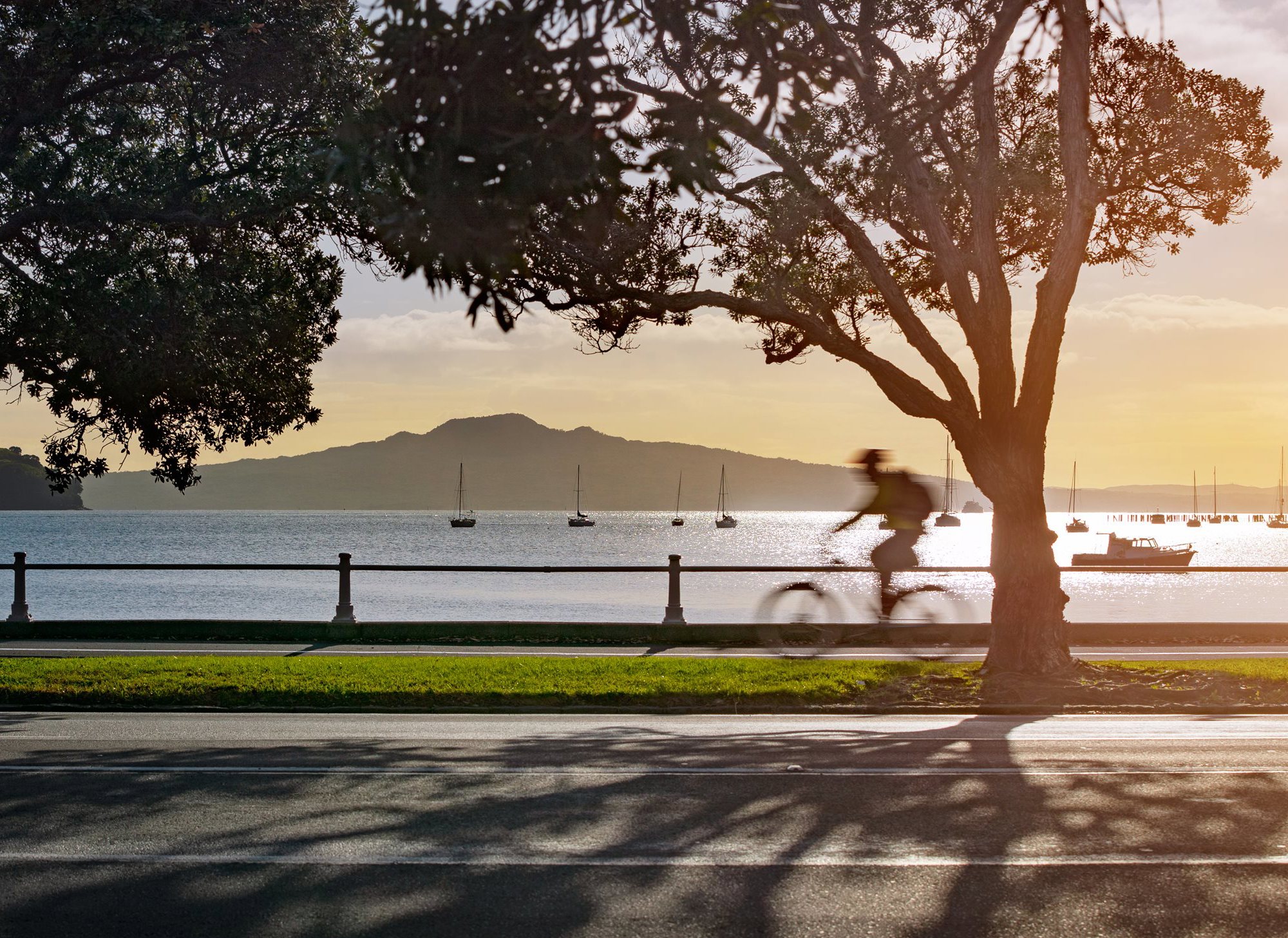 Guide to amazing cycle paths and bike trails in Auckland