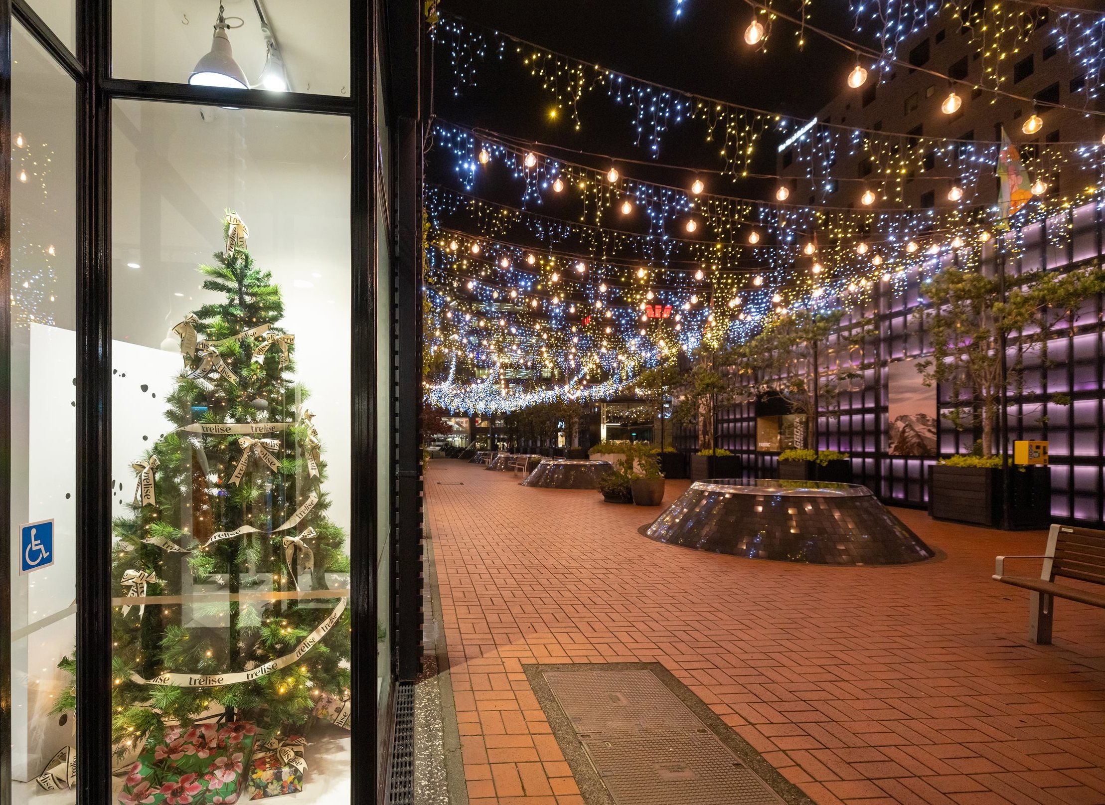 Celebrate Christmas in Auckland
