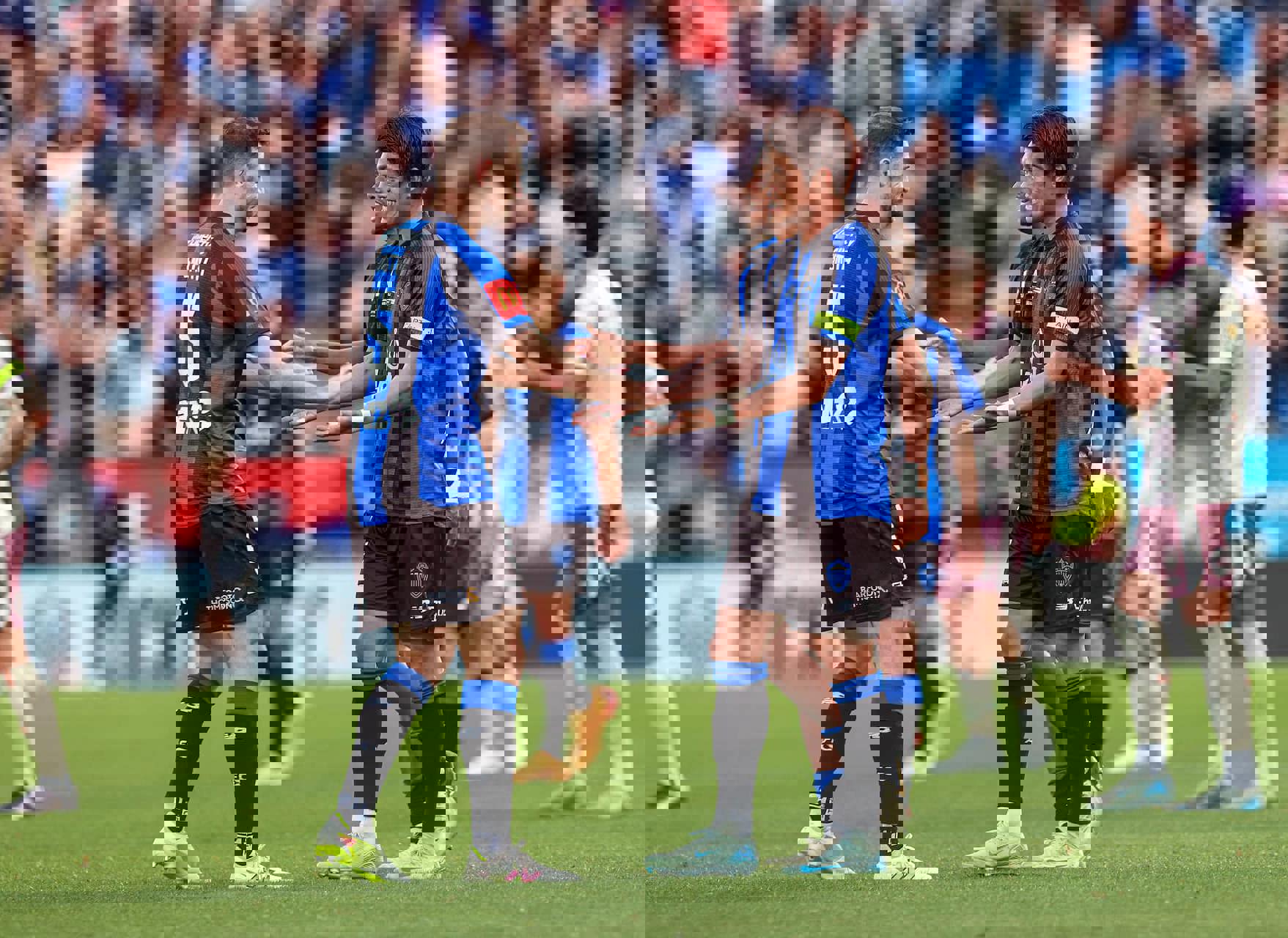 Auckland's best summer sporting events