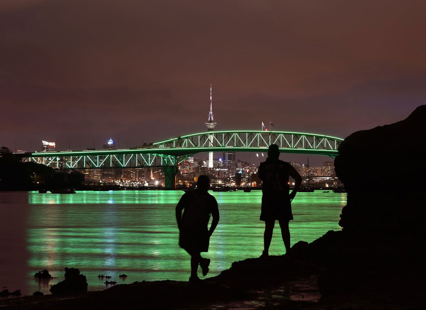 Experience Auckland's Winter Lights