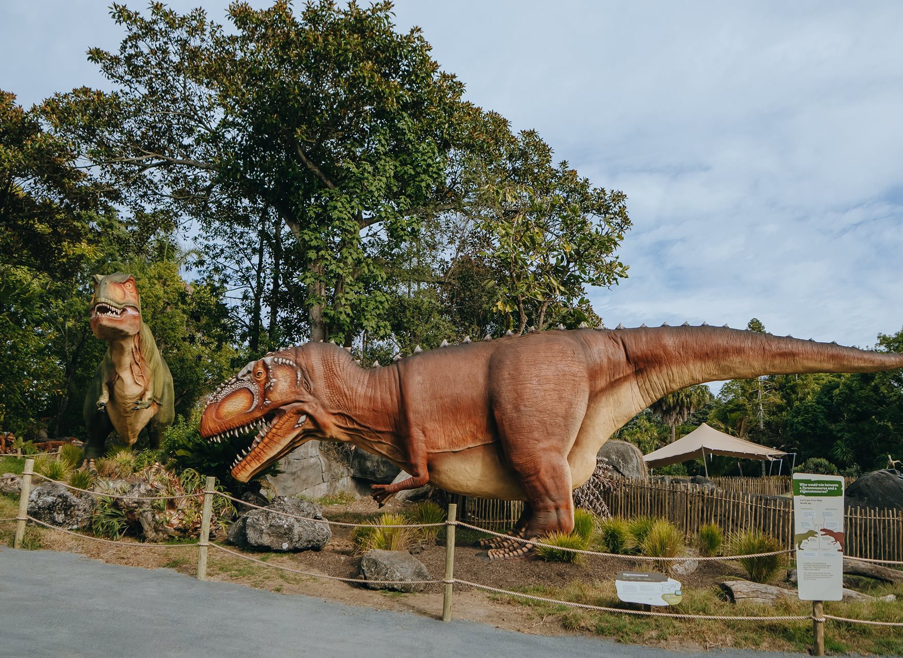 Dinosaur Discovery Track