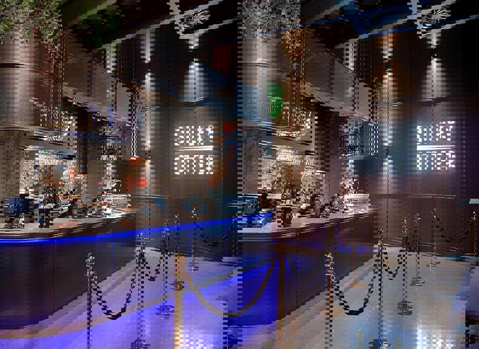 Silky Otter Ponsonby