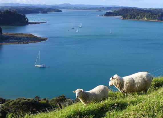 Mahurangi Regional Park