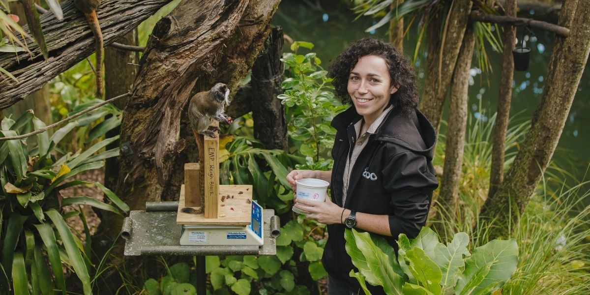 Ben Bayly's guide to Auckland