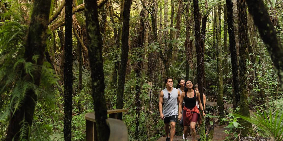 5 stunning scenic walks in Auckland