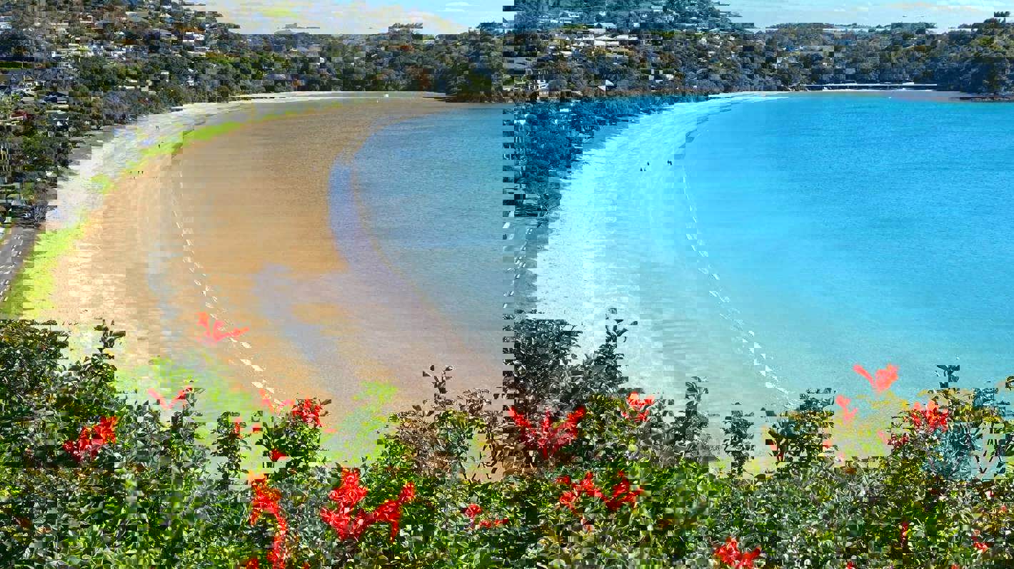 Best Safe Swimming Beaches in Auckland | AucklandNZ.com