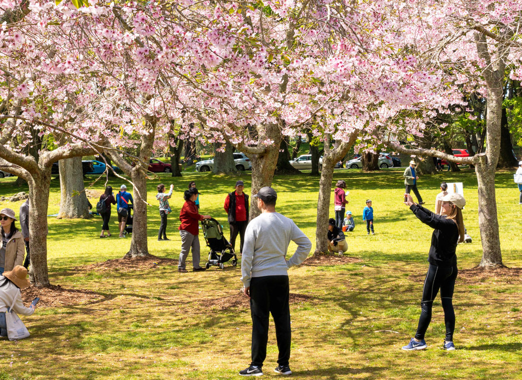 The Best Things to Do in Auckland This Spring