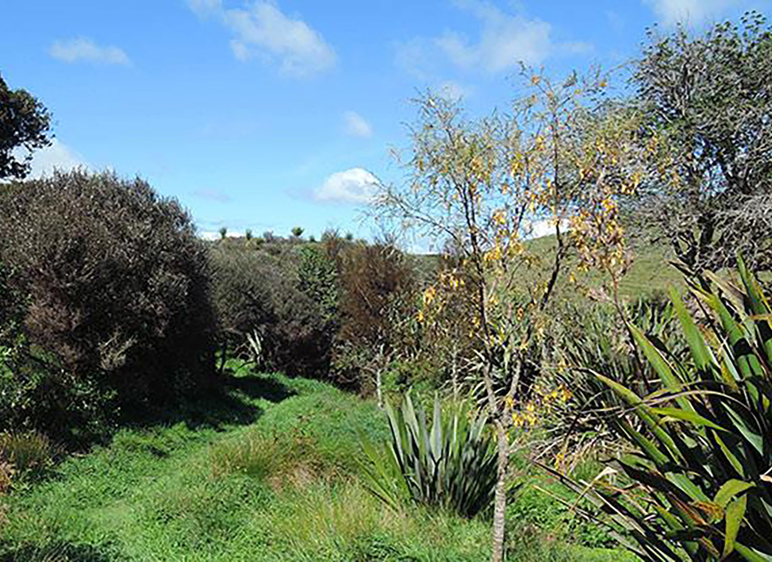 Duder Sustainable Trail