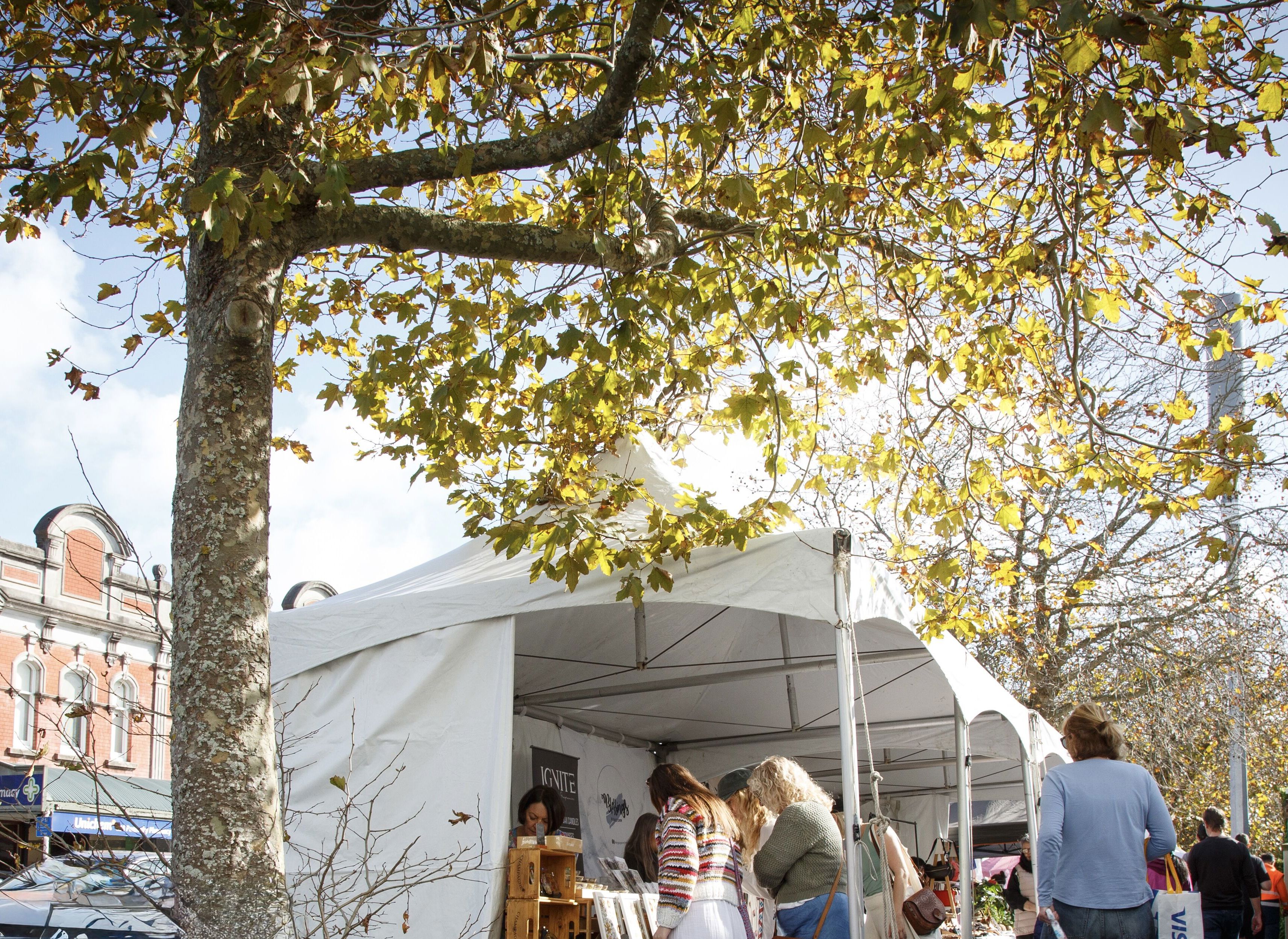 Ponsonby Christmas Market Day & General Collective Market