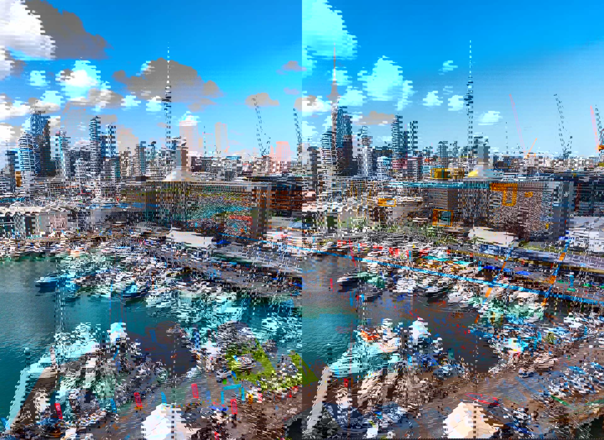 Moana Auckland | New Zealand's Ocean Festival | 27 Jan - 9 Mar 2025