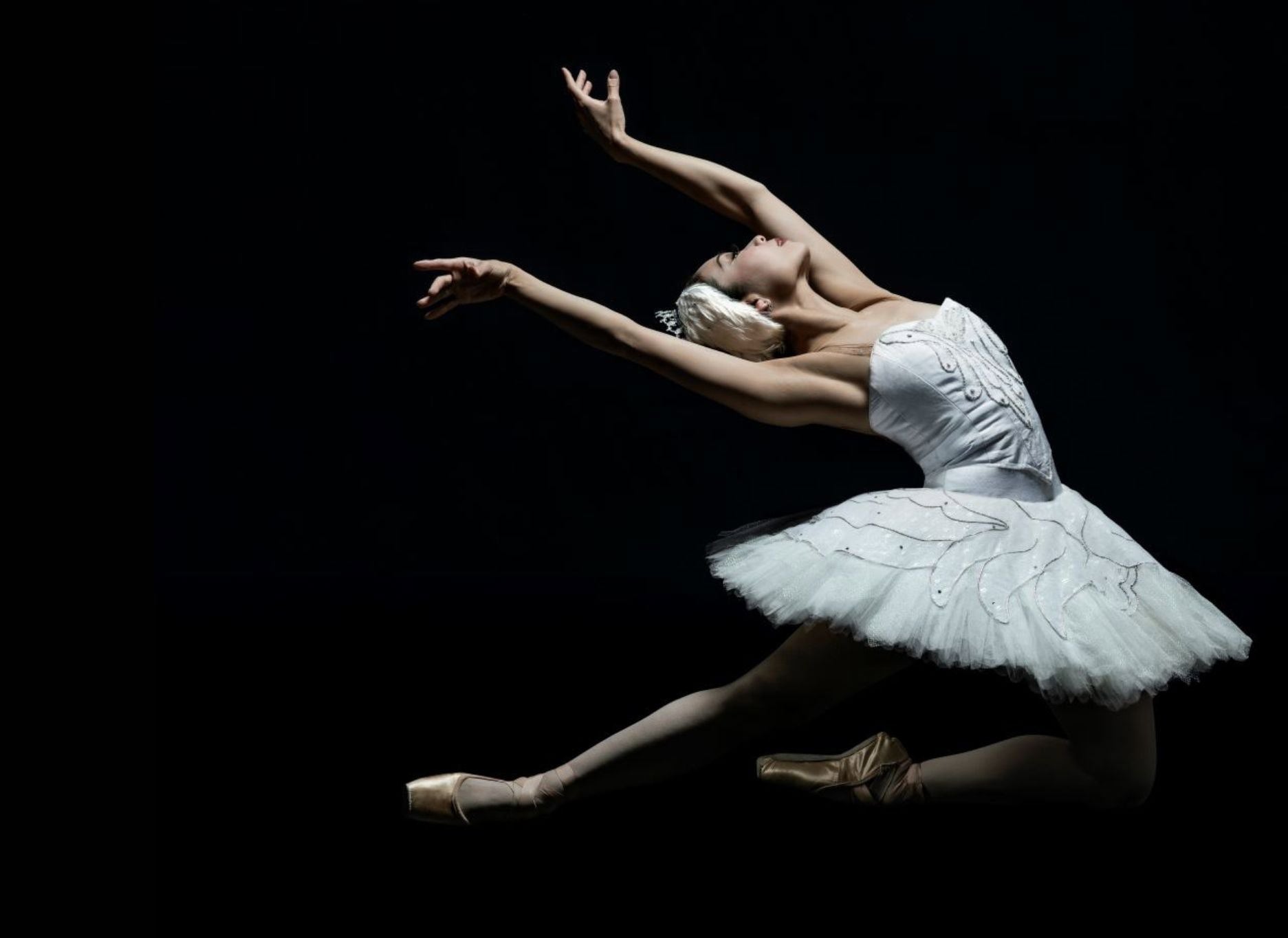 Swan Lake