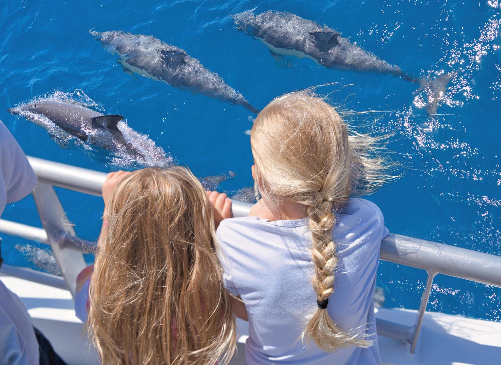 Explore Group - Tikapa Moana, Whales, Dolphins & Islands Cruise