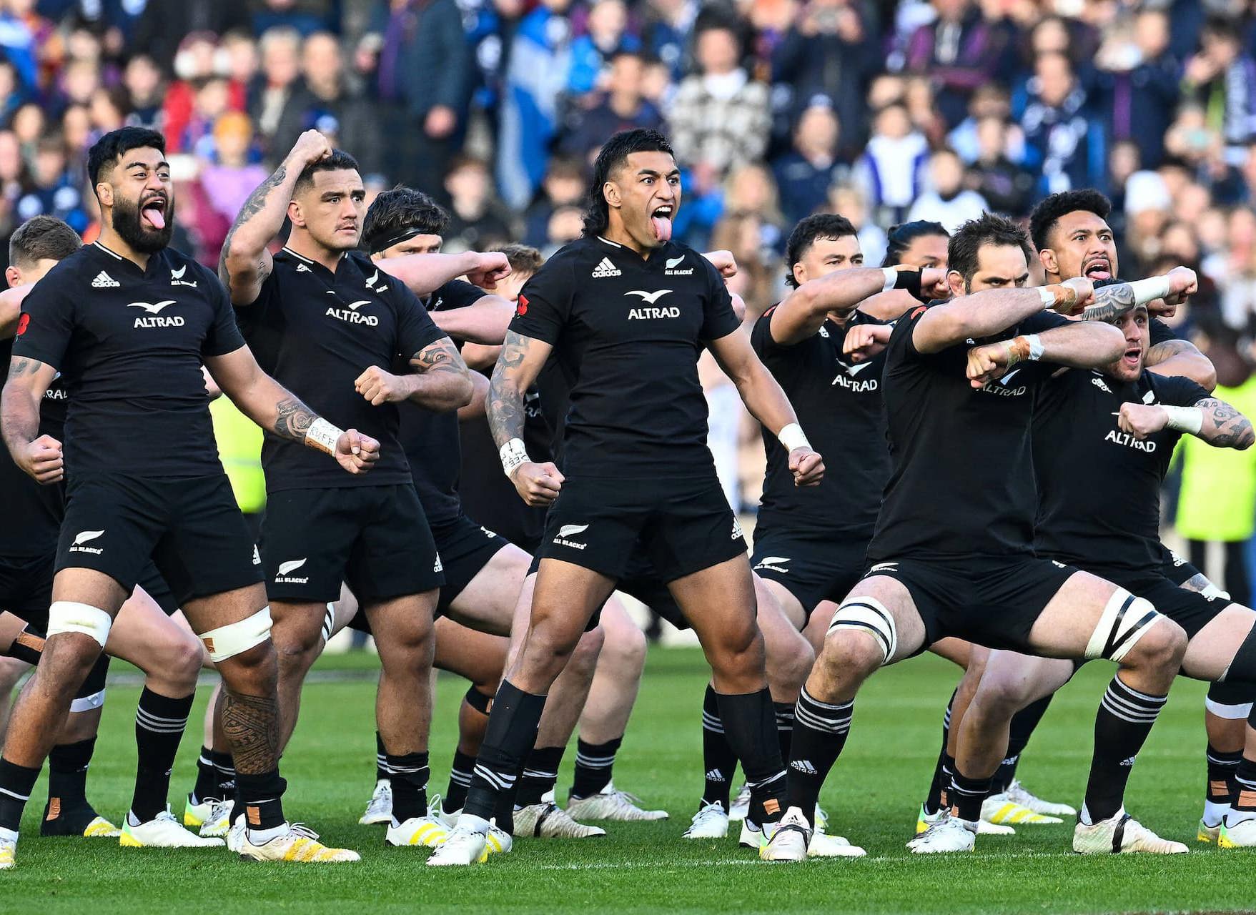The Best Sports events in Auckland this Winter