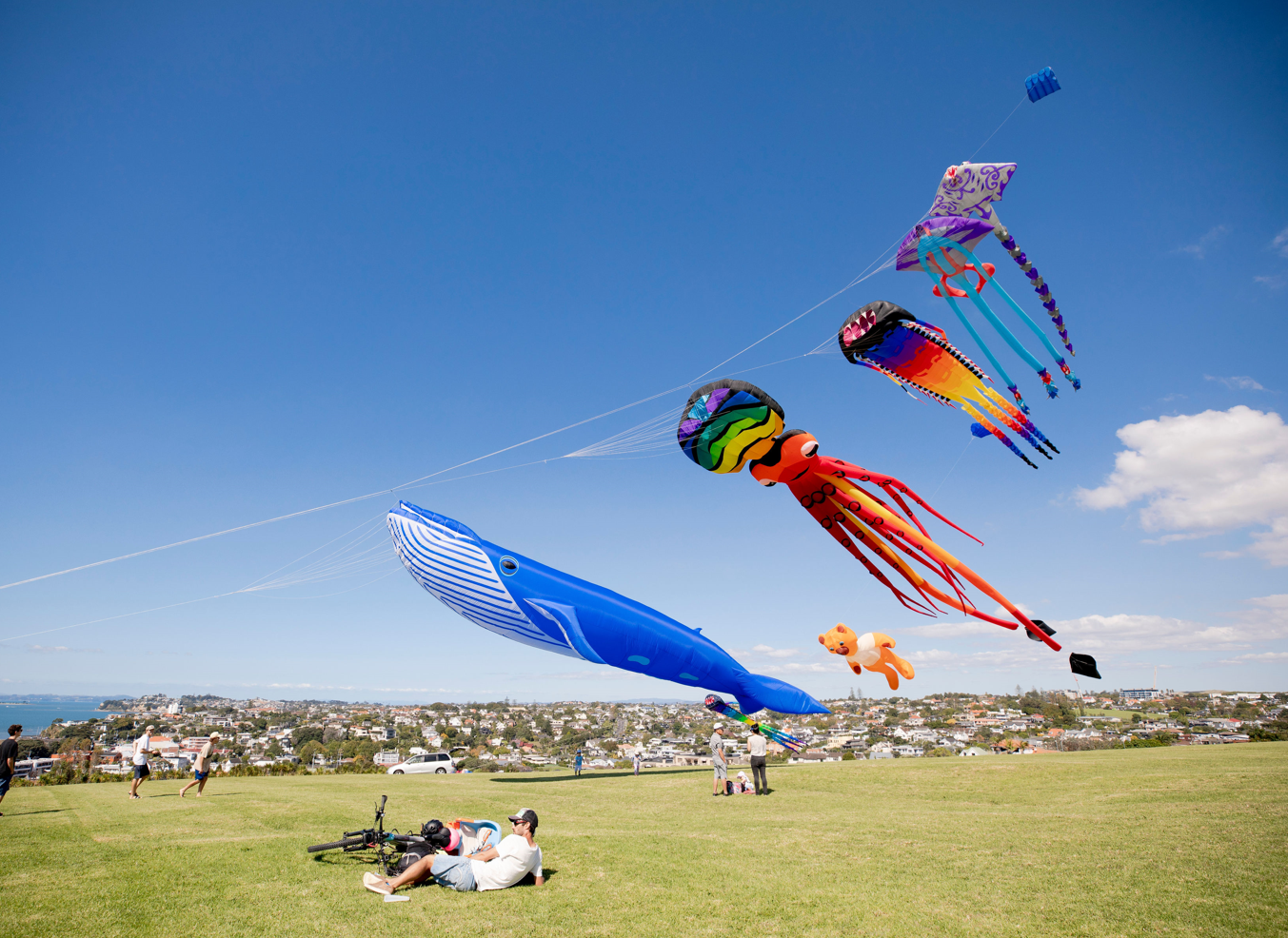 Manu Aute Kite Day