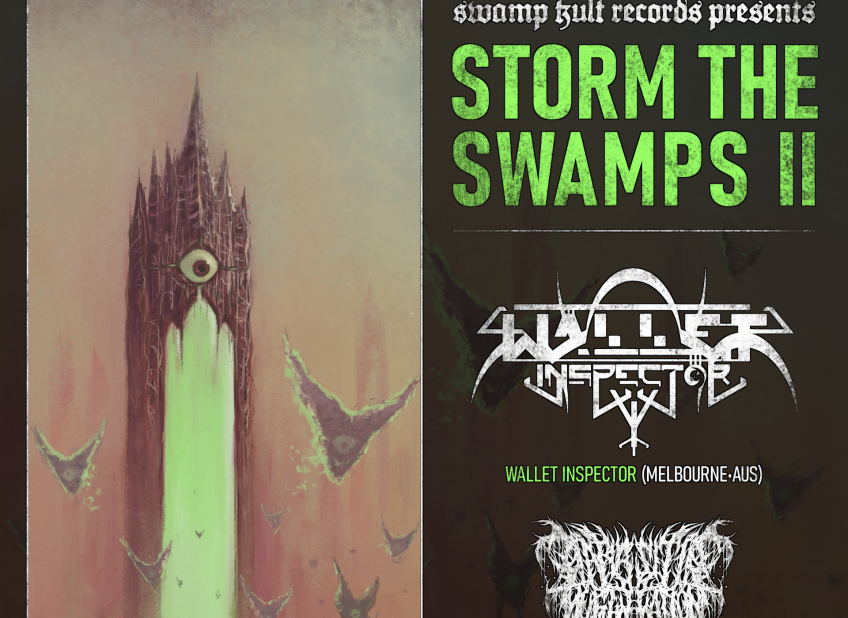 Storm The Swamps 2 - Wallet Inspector