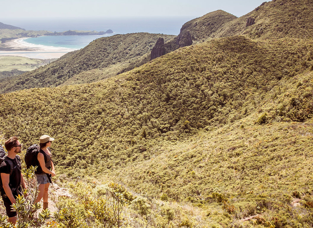 Aotea Great Barrier Island