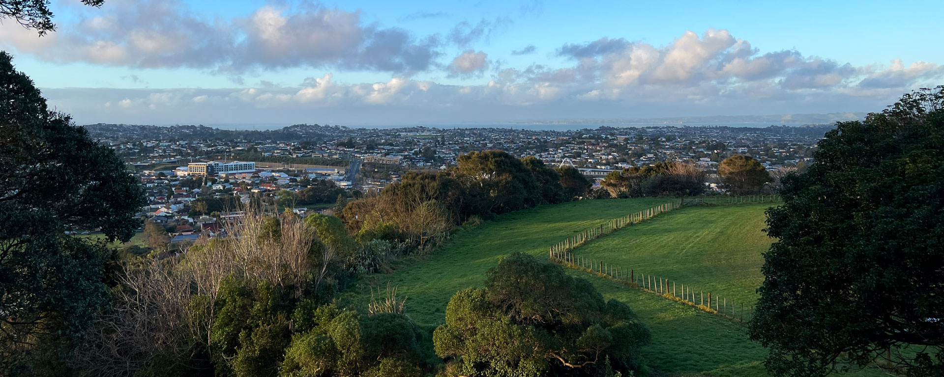 Discover Auckland - Travel, Tourism & Events | AucklandNZ.com