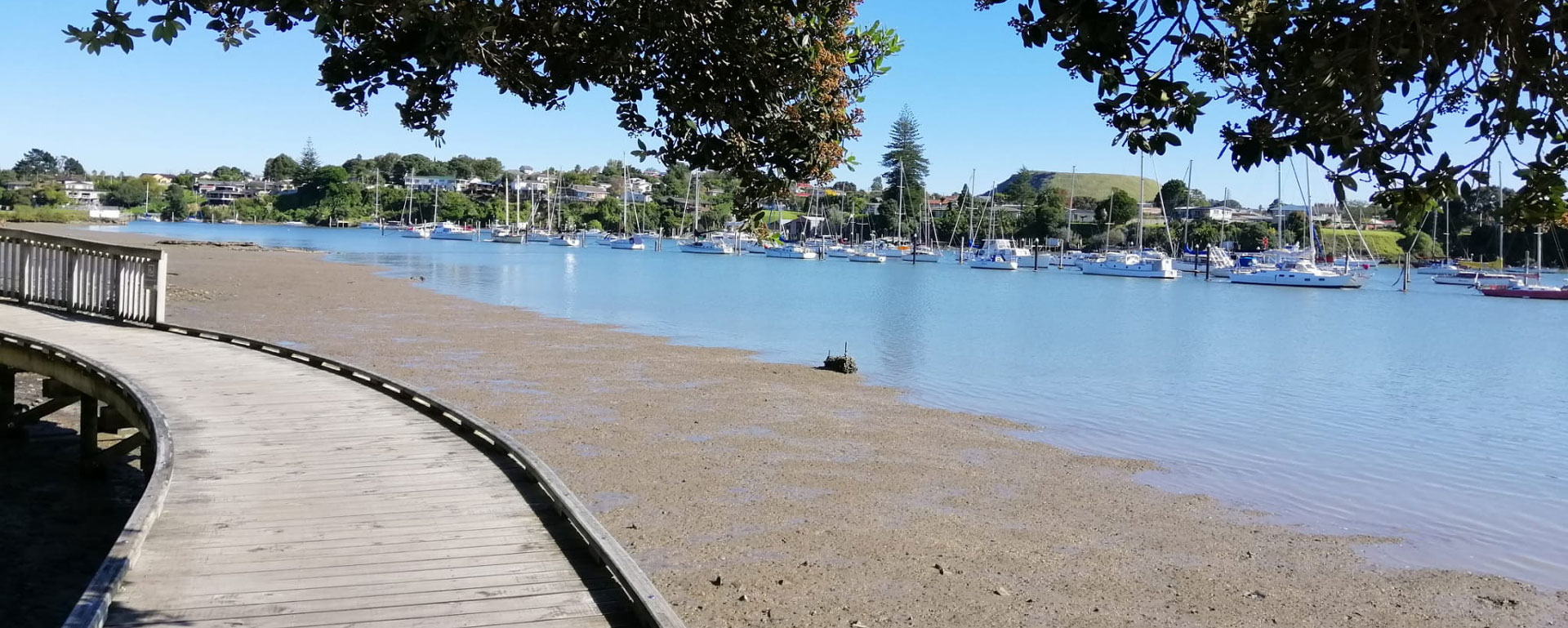 Discover Auckland - Travel, Tourism & Events | AucklandNZ.com