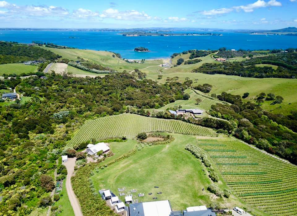 Cable Bay Vineyards