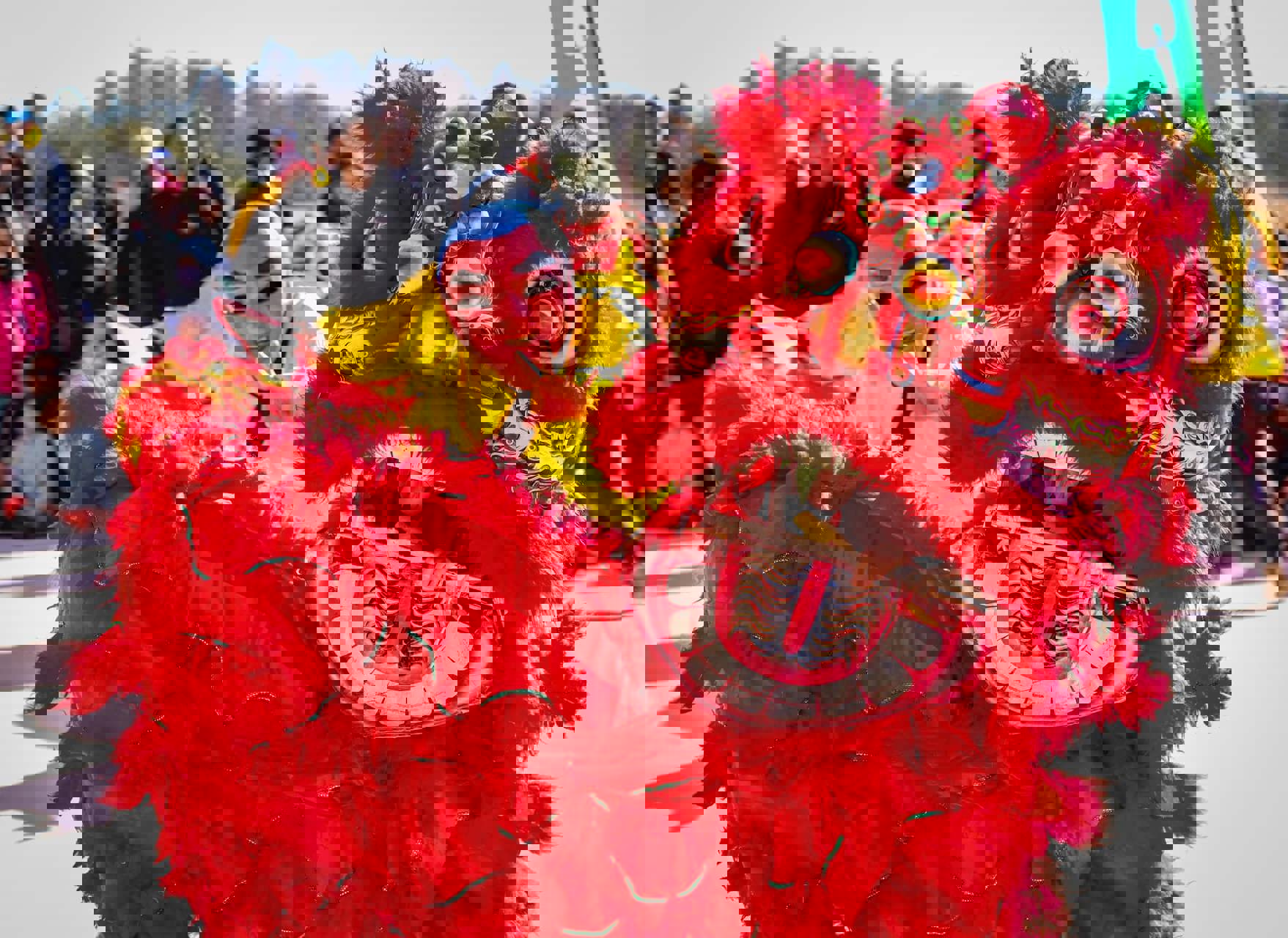 Let's Celebrate Lunar New Year in Auckland