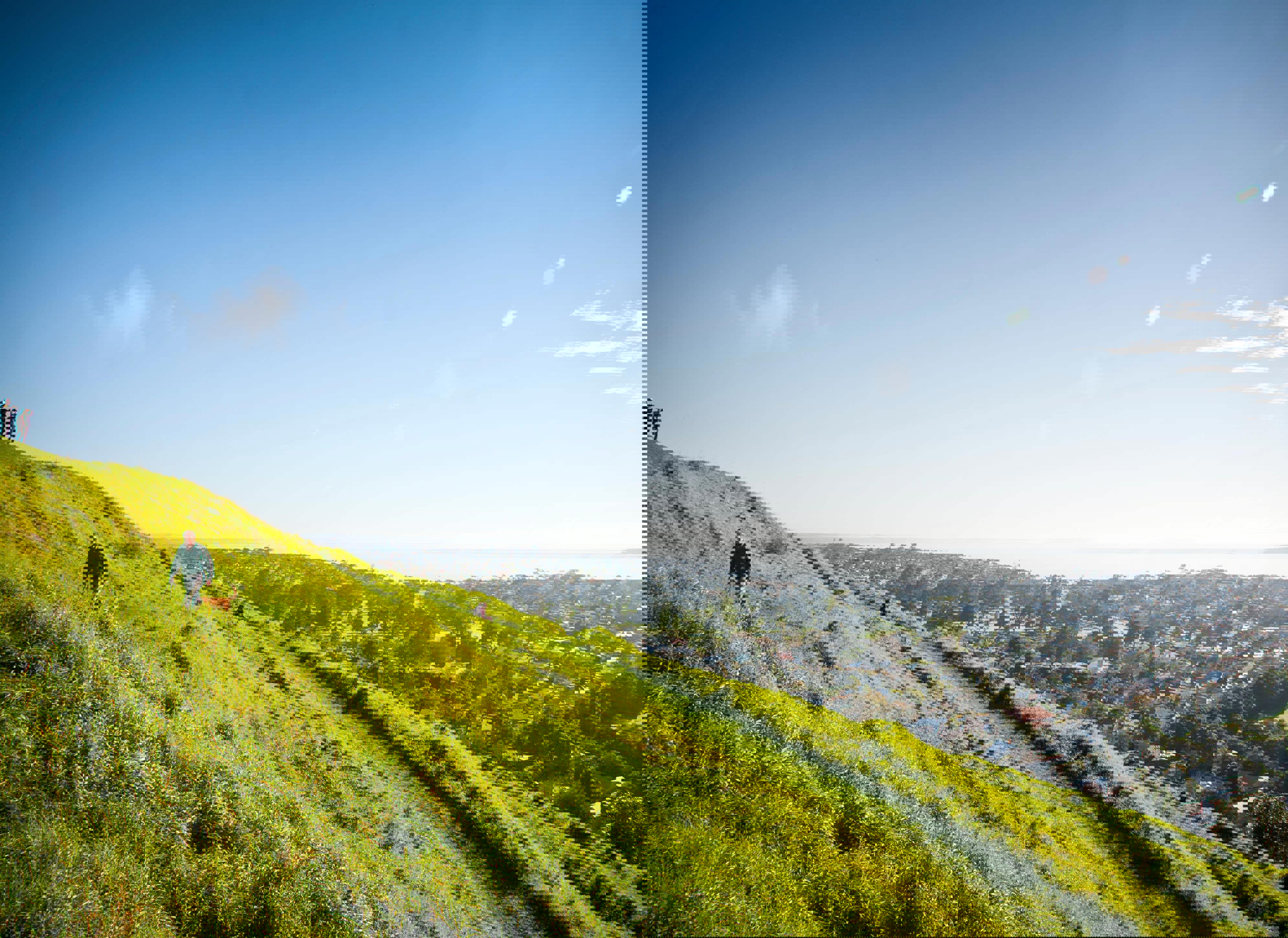 Takarunga Mount Victoria