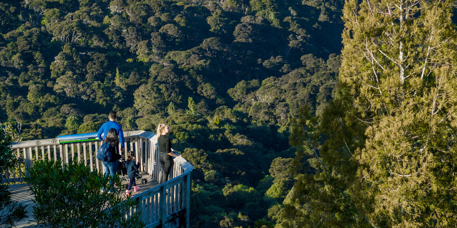 10 Free Things to Do in Auckland | AucklandNZ.com