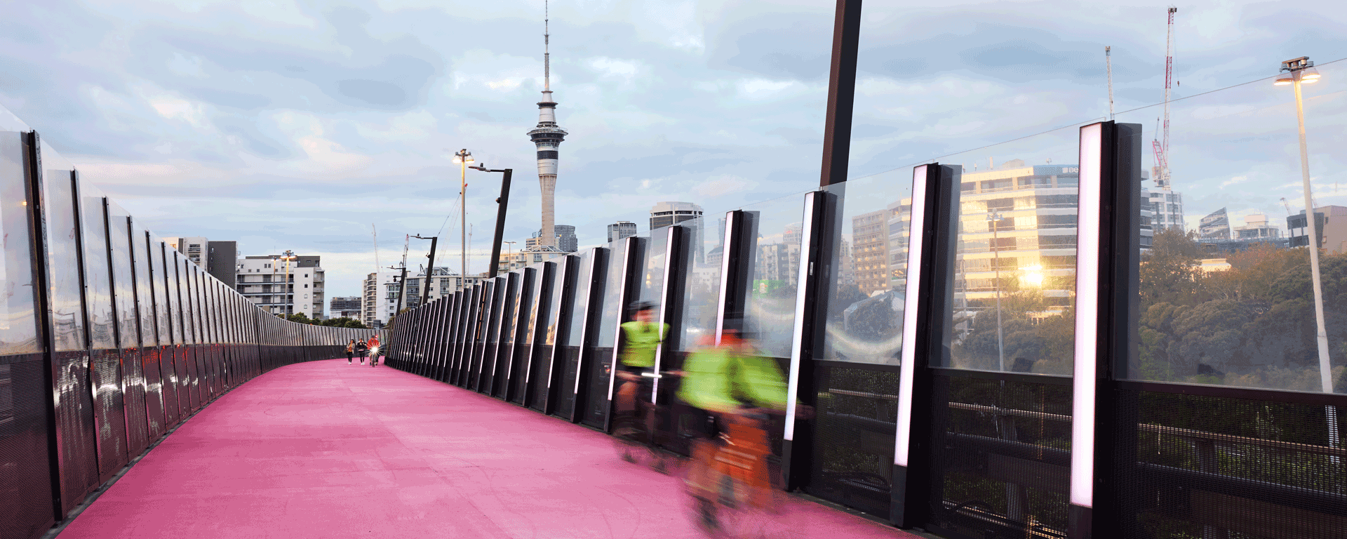 Top 10 Free Things To Do In Auckland | AucklandNZ.com