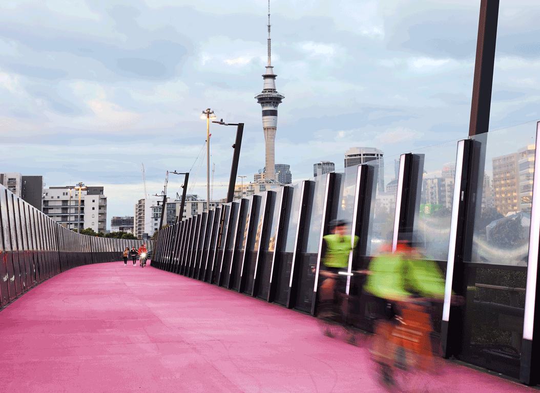 Amazing cycle paths in Auckland