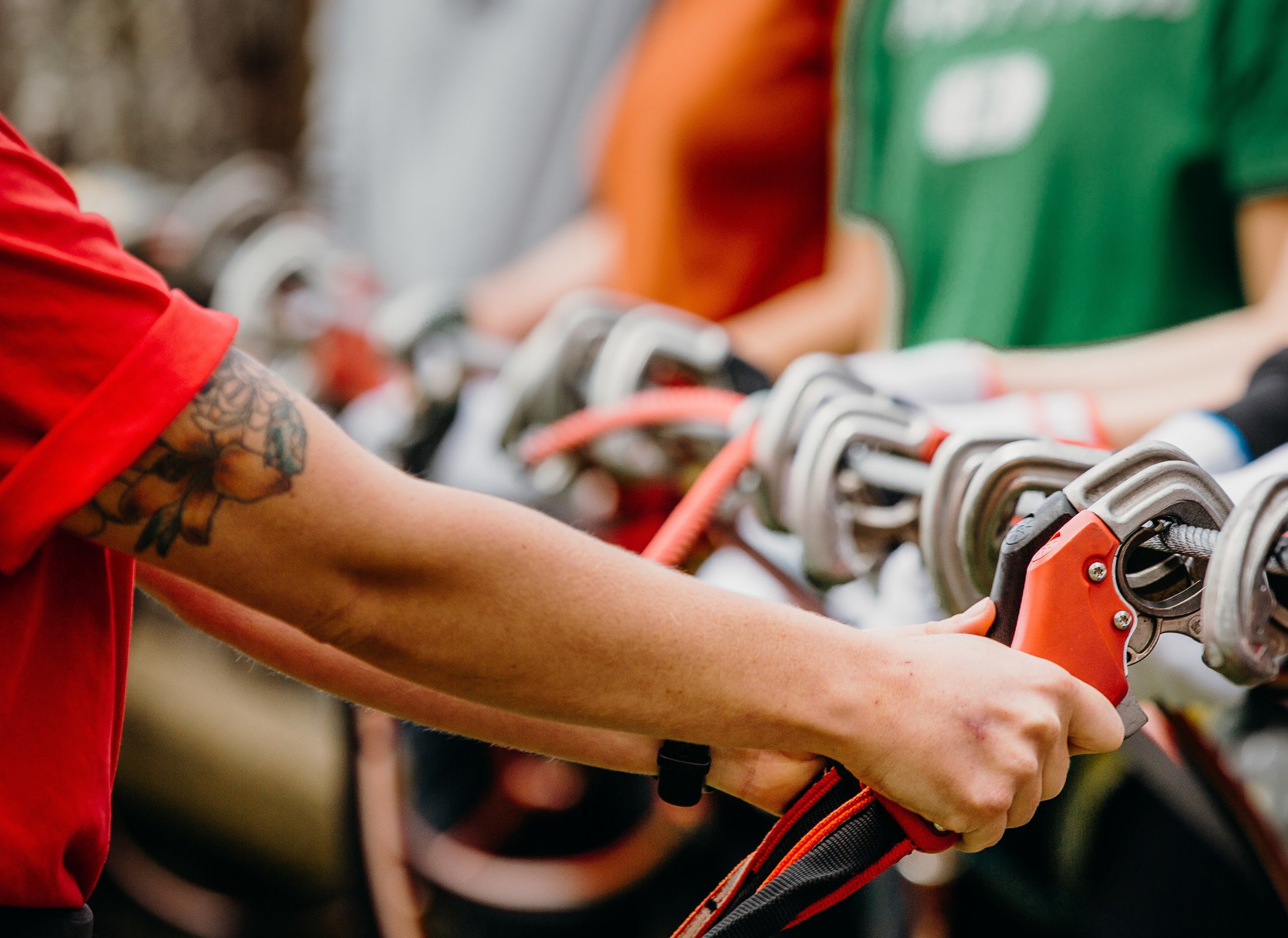 Adrenalin Forest Auckland
