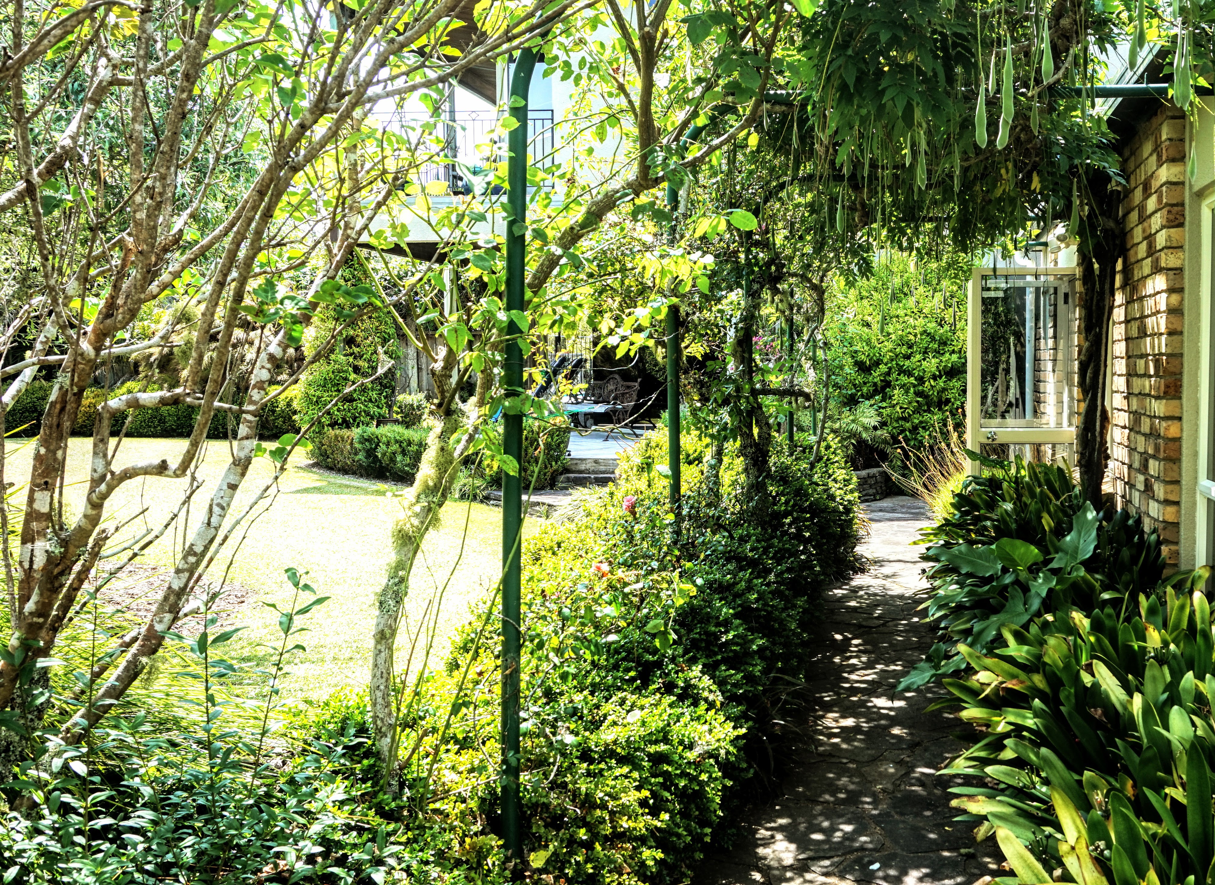 Maddisons Garden Homestay