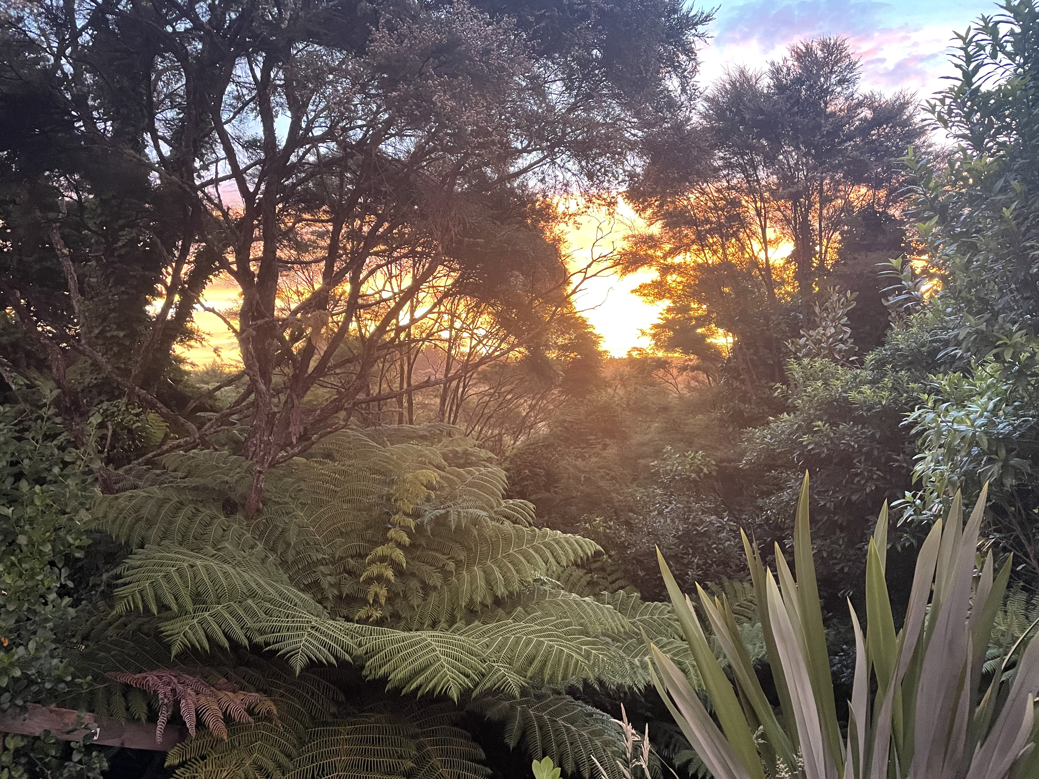Hunua Ranges Regional Park