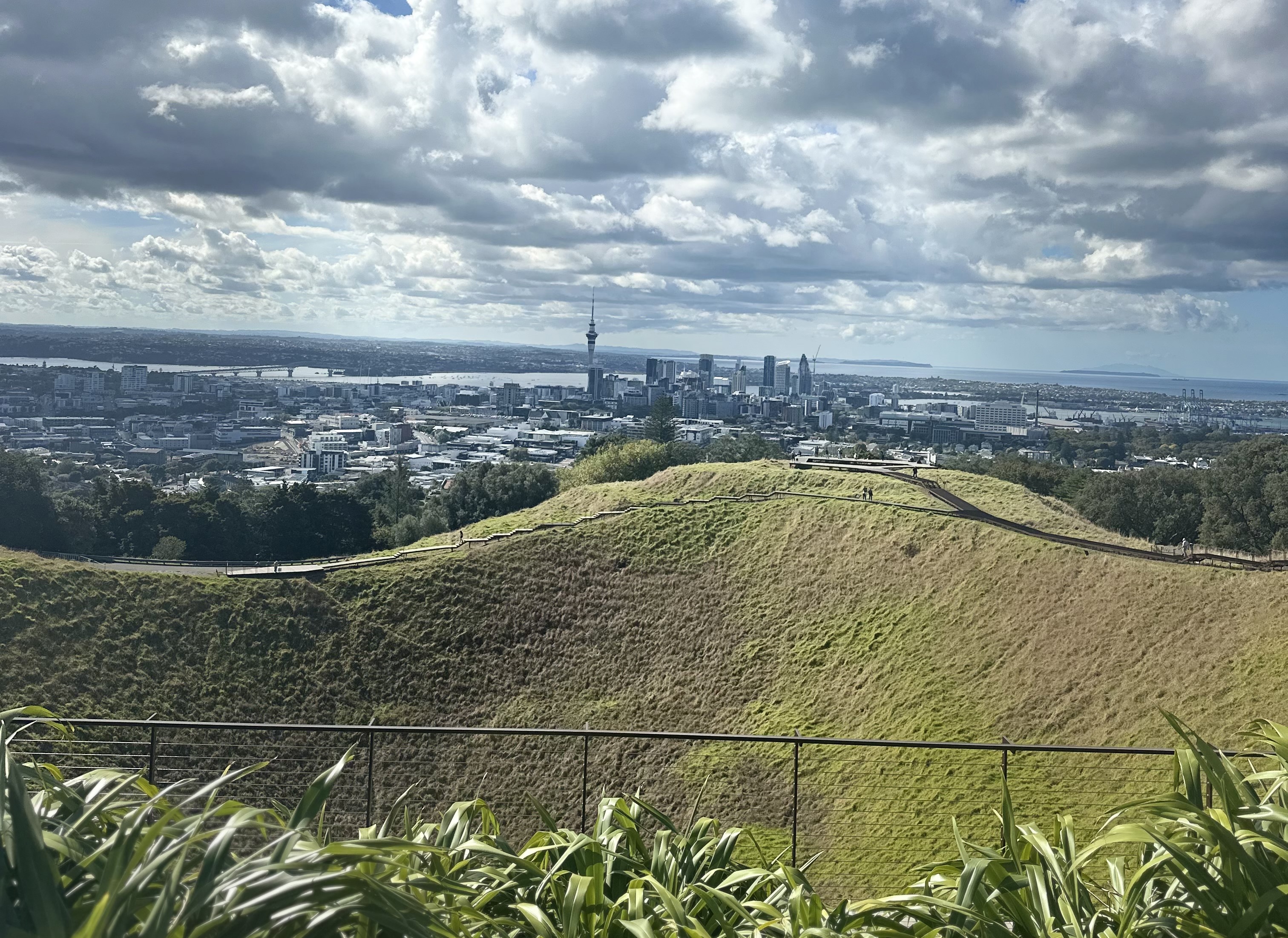 Hopincab: Private: Piha Beach, Rainforest Adventure & Mt. Eden with ...