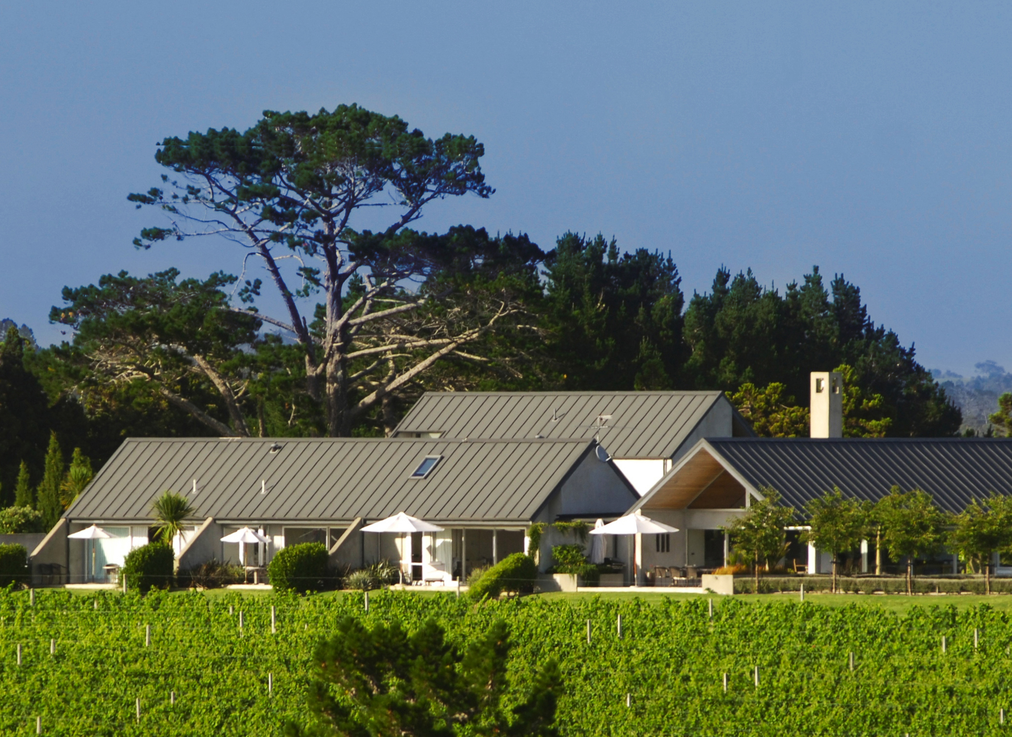 Takatu Lodge & Vineyard - Matakana Coast