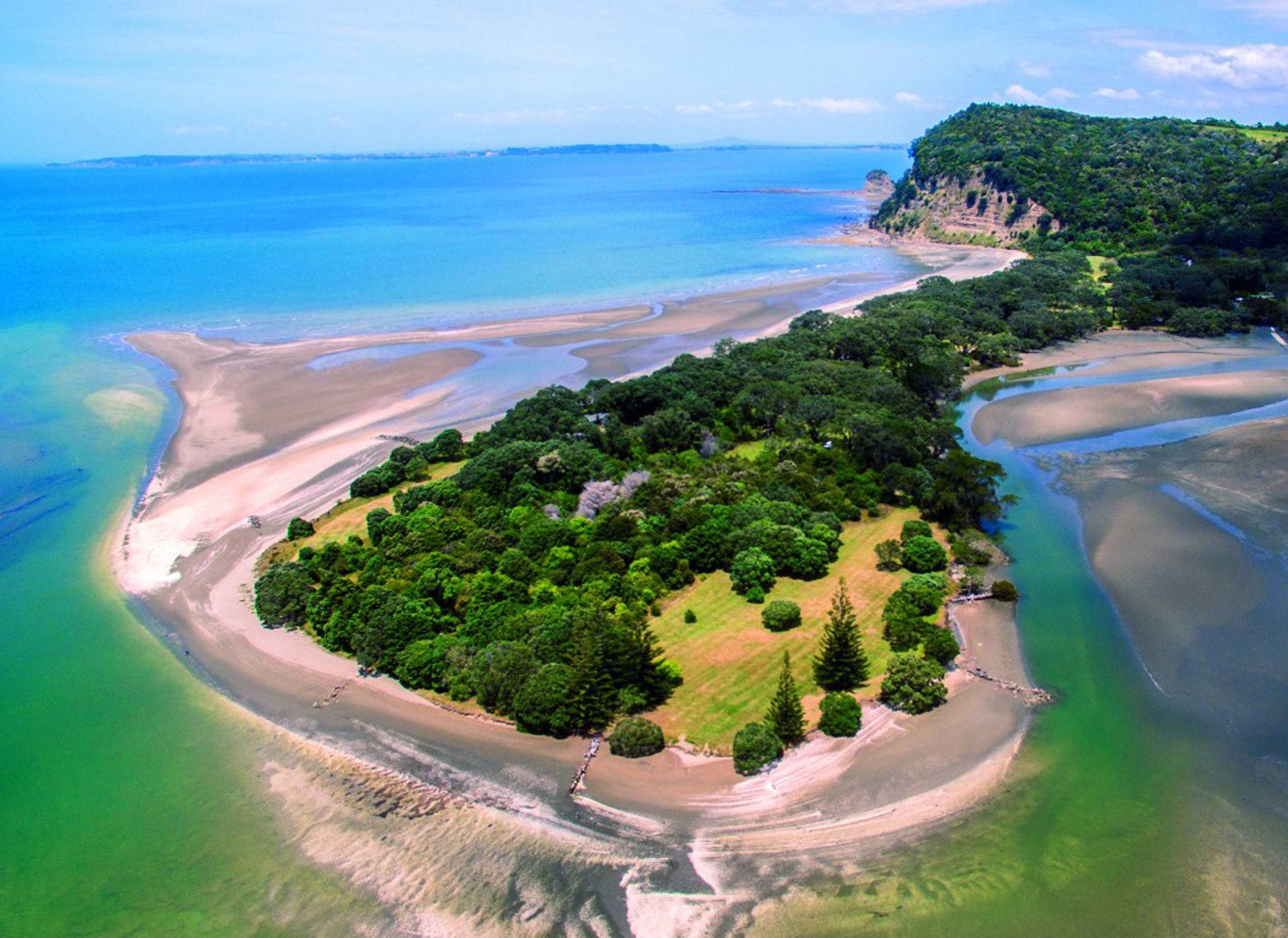 Puhoi River Kayaking