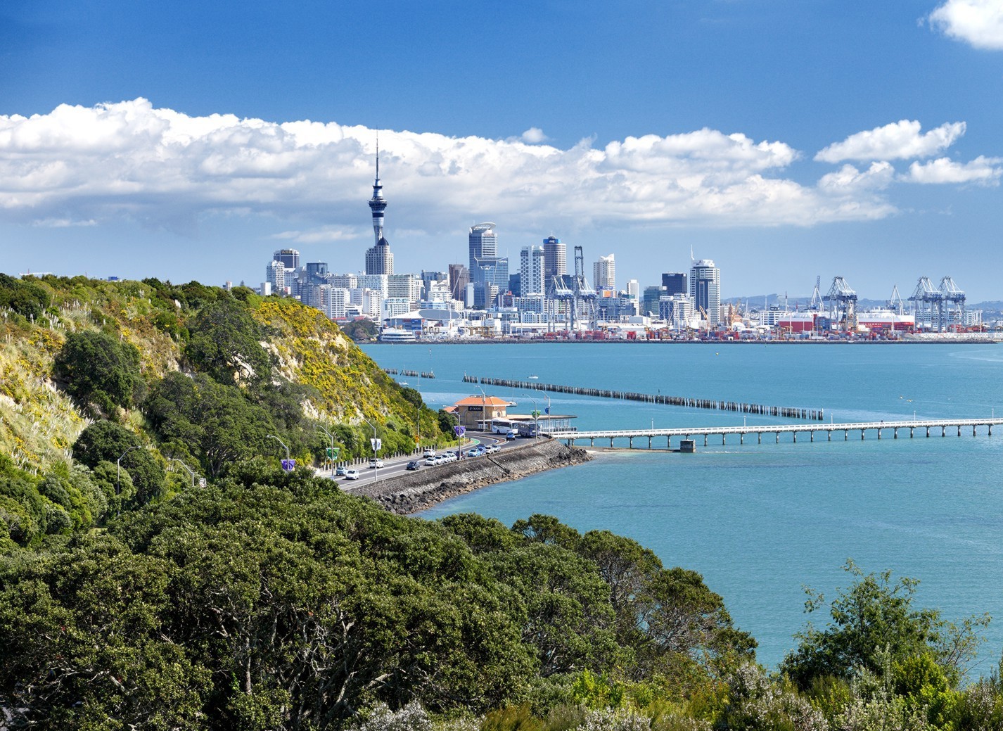Auckland City Tours