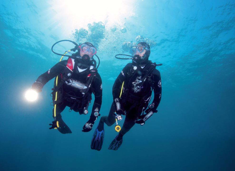 New Zealand Diving Dive Charters