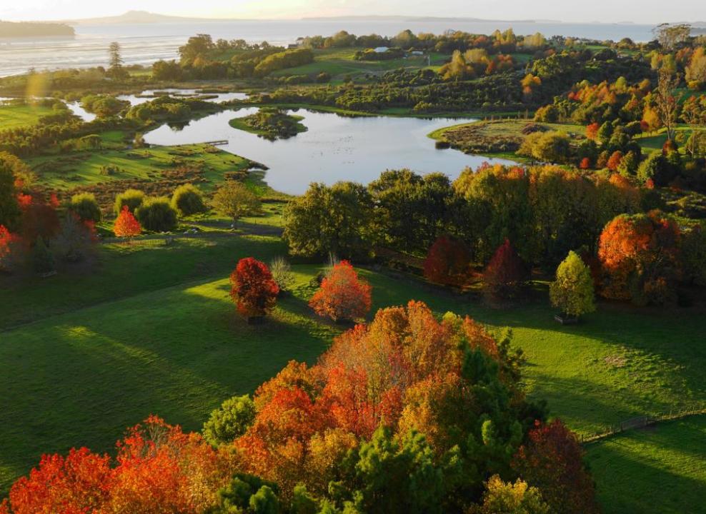 The best places to see autumn leaves in Auckland